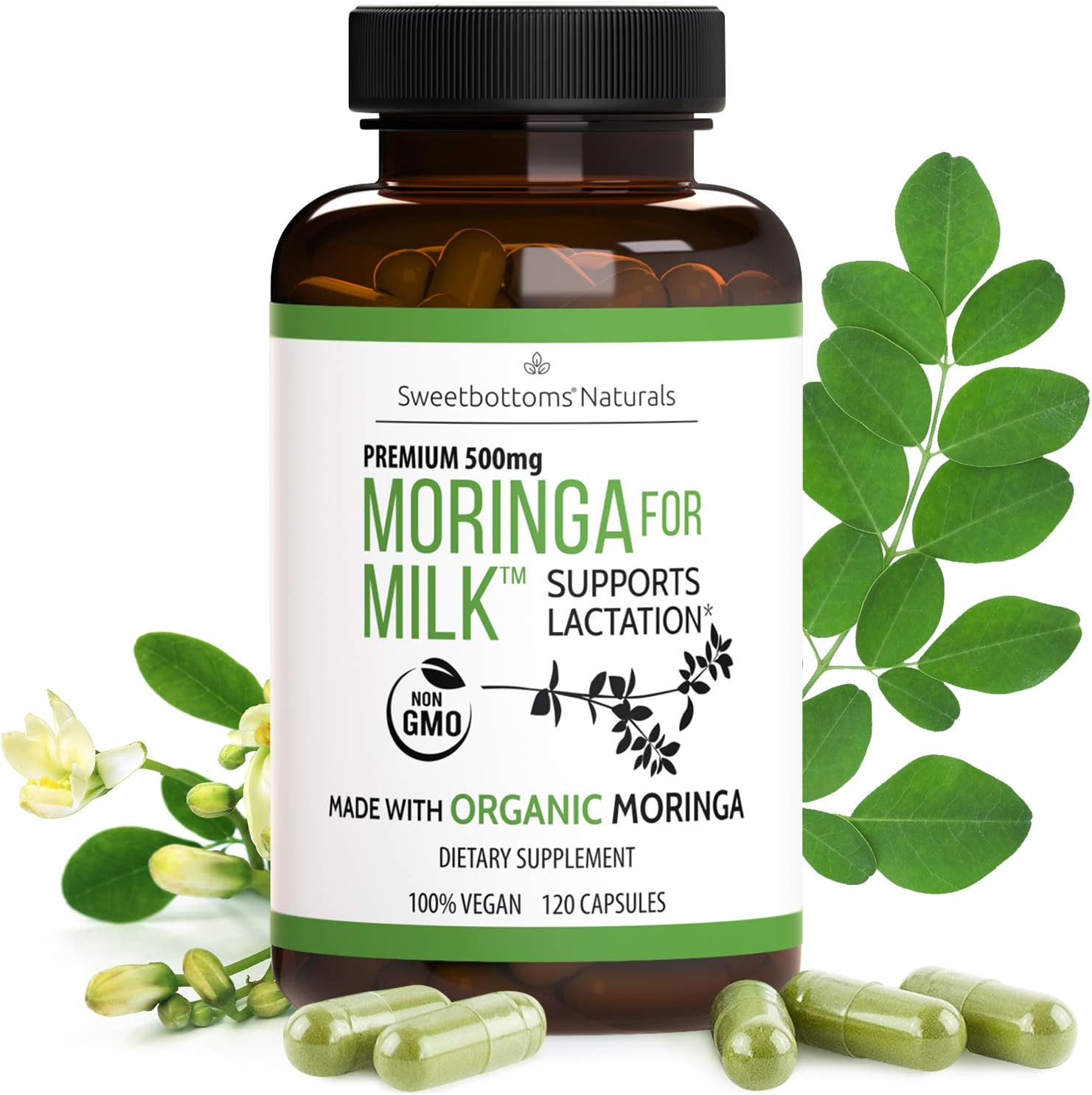 What Are the 92 Nutrients and Antioxidants in Moringa?