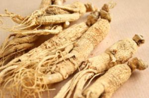 Chaney Root: Benefits of the Potent Jamaican Herb