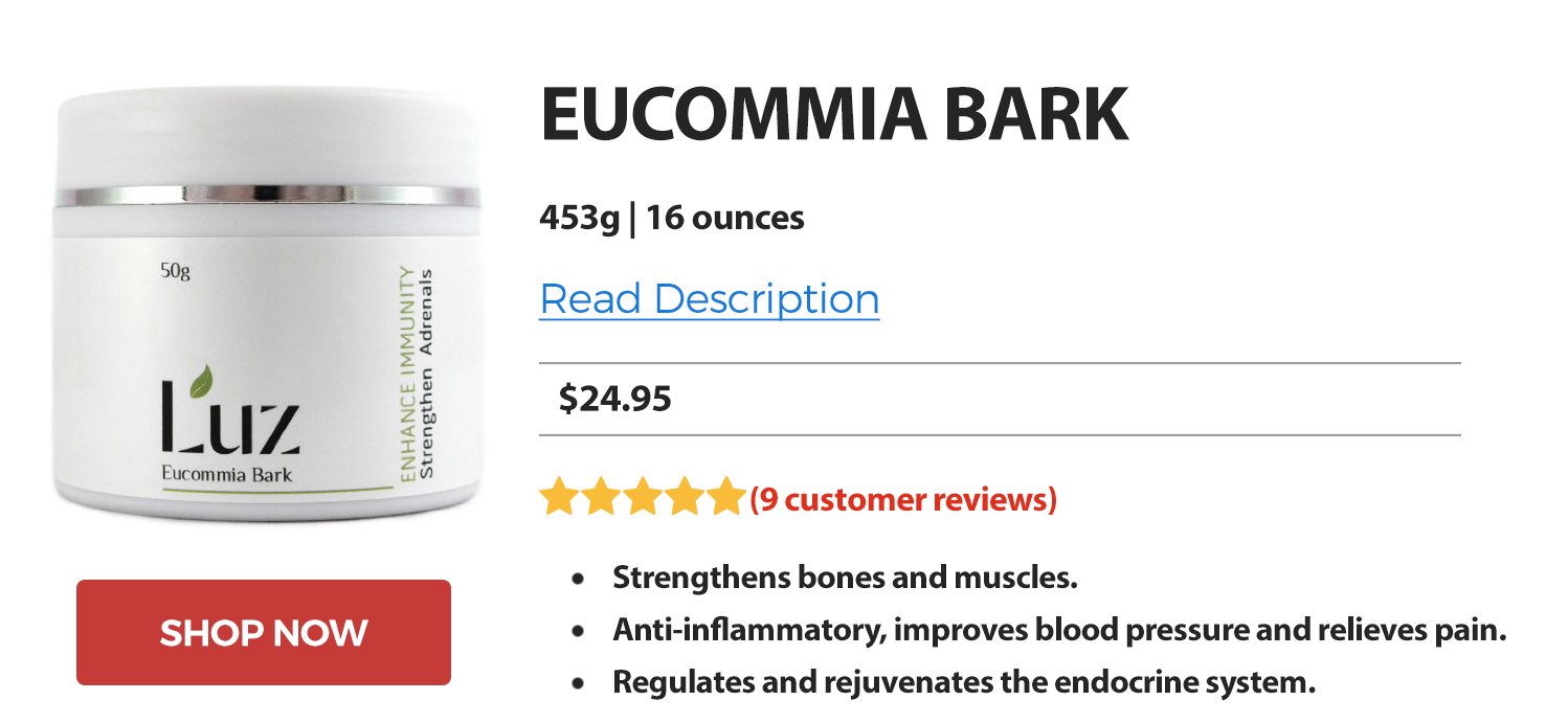 Eucommia Bark: Du Zhong's path to Enlightenment
