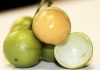 Jamaican Guinep Fruit (Spanish Lime, Mamoncillo): 7 Health Benefits