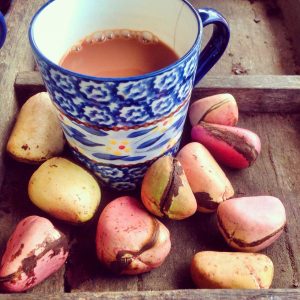 Jamaican Bissy Tea Benefits: Does it clean your system?