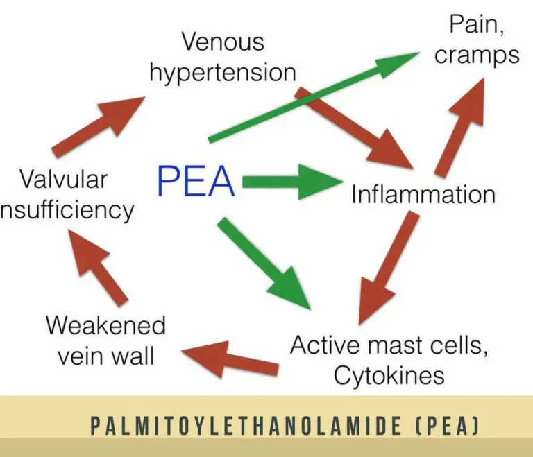 Palmitoylethanolamide (PEA): 9 Benefits of this Modern Nootropic